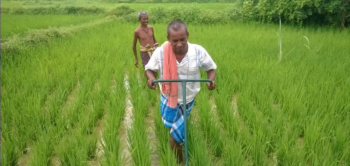 Design Innovation in agriculture Sector